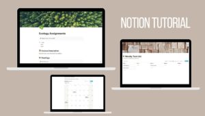 Organization tutorial! How I create my pages on Notion ...