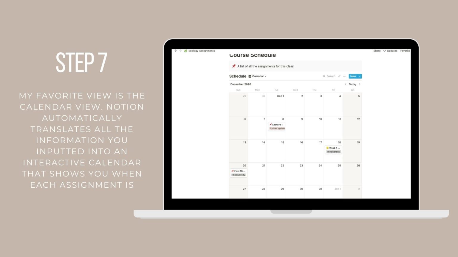 Organization tutorial! How I create my pages on Notion ...