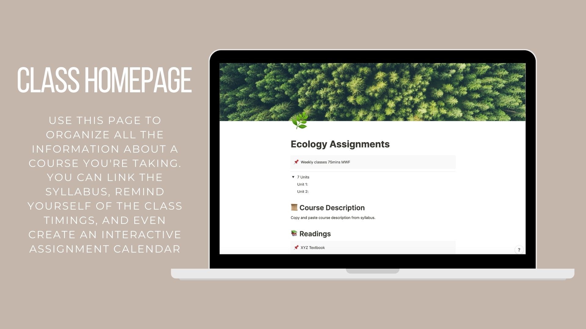 Organization tutorial! How I create my pages on Notion ...